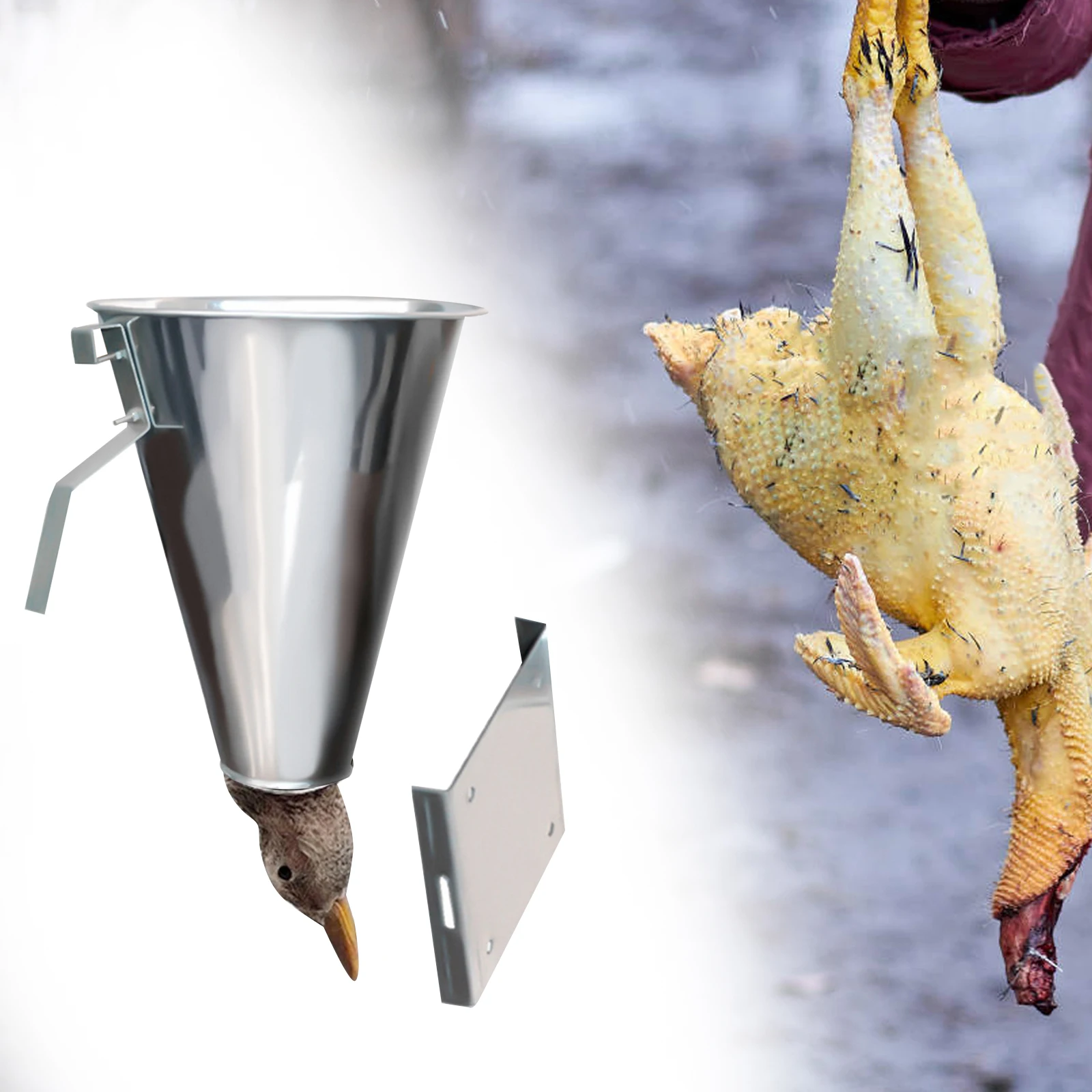 Cone Funnel Chicken Killing Poultry Duck Equipment Poultry Restraining ...