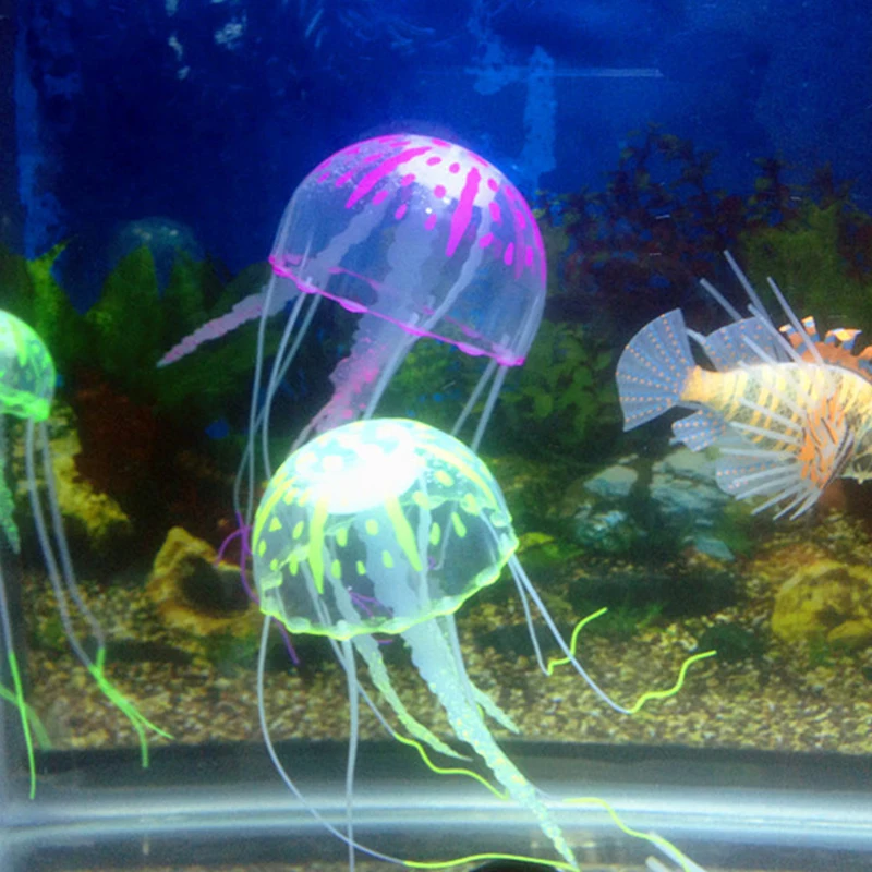 Pet Jellyfish Kit