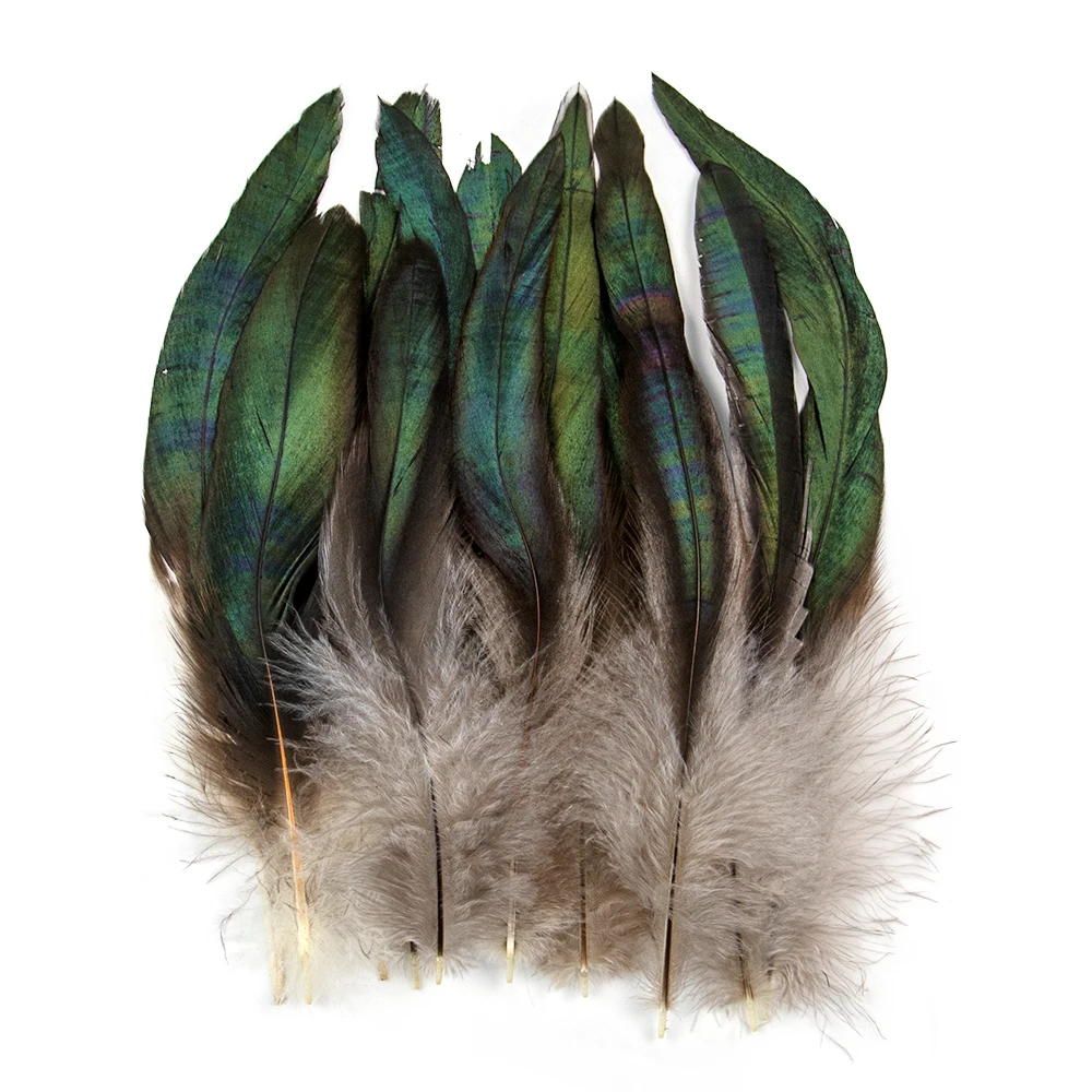 50Pcs-Beautiful-Rooster-Feathers-15-20cm-6-8-Inch-Natural-Pheasant ...