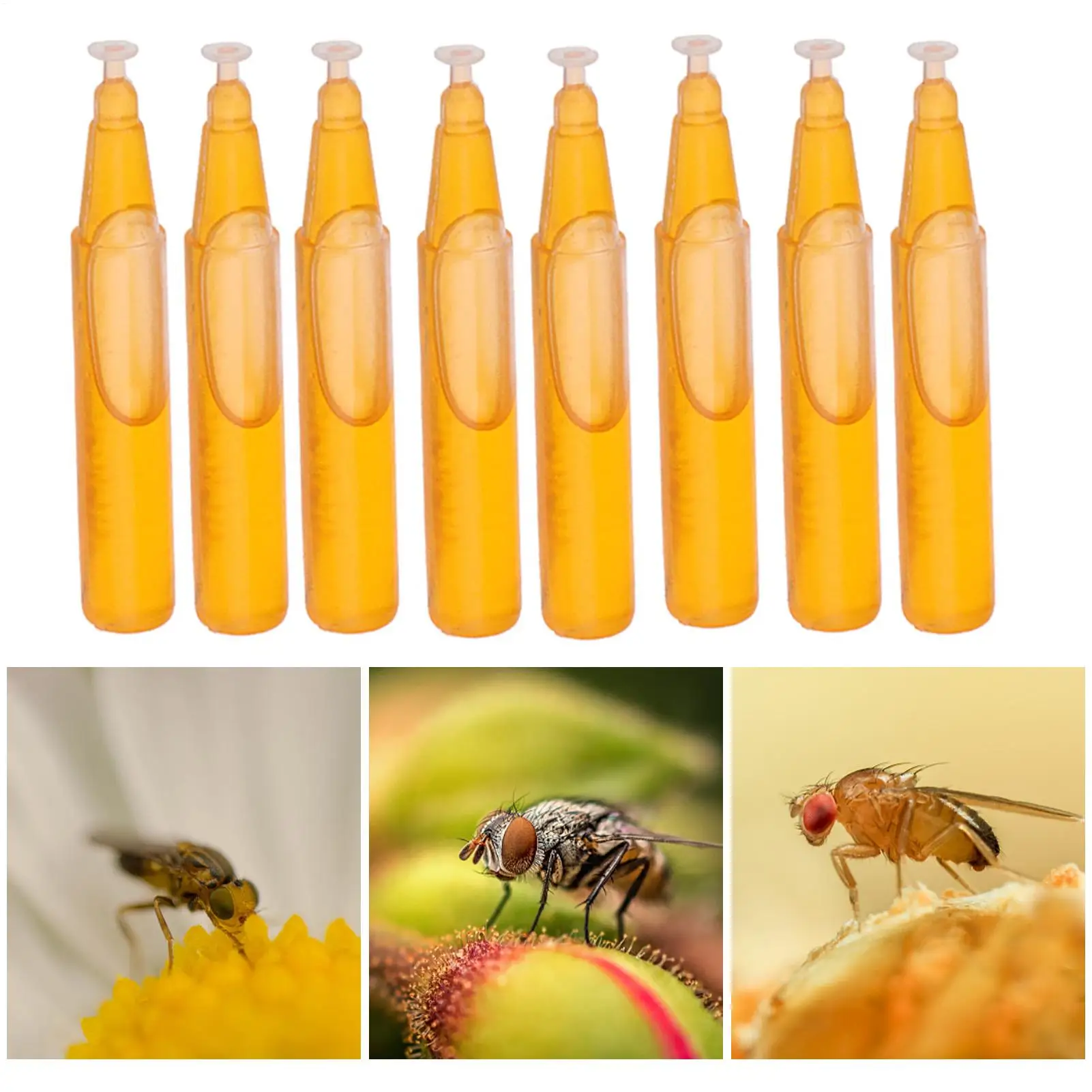 Fruit Fly Attractant Fruit Fly Trap Killer 2ml Drosophila Trap Fly ...