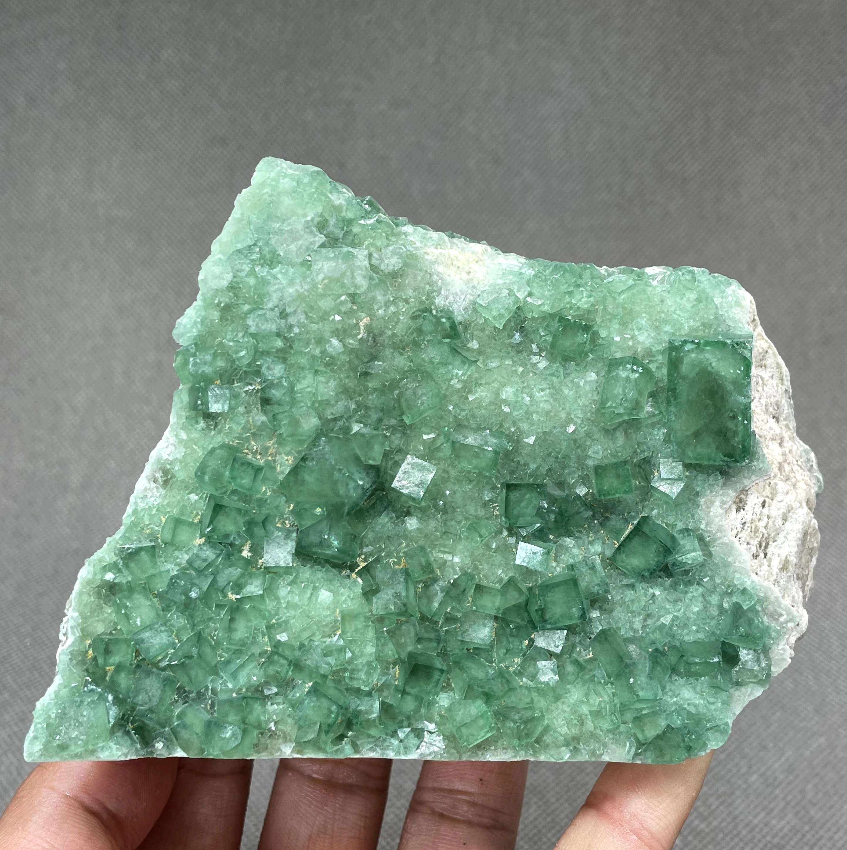 Store Home Products Feedback