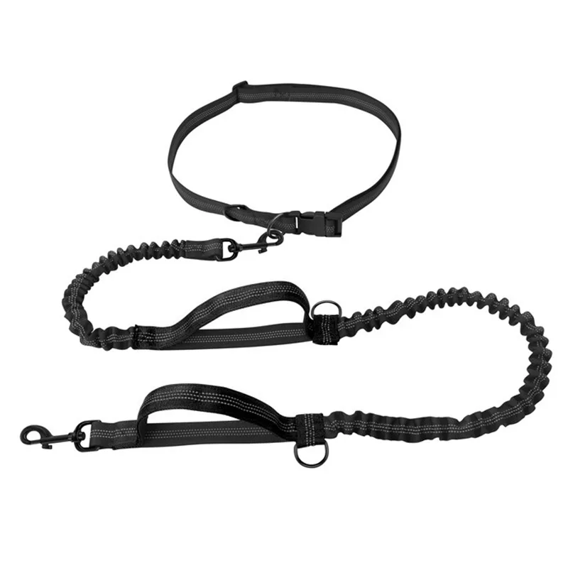 Adjustable Portable Running Pet Leash with Dual Handles, Night ...