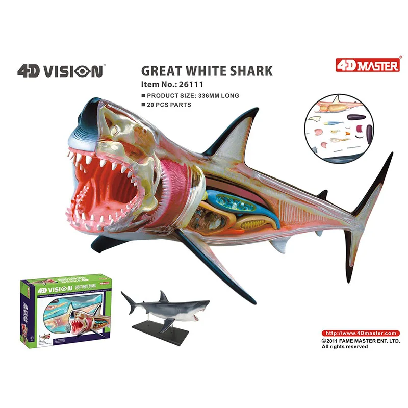 Toy Shark 4d Puzzle