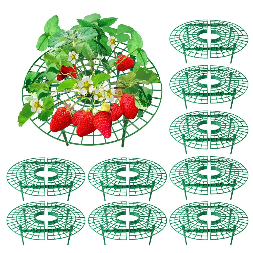 5/10/20 Pcs Strawberry Stand Frame Strawberry Supports Stand Holder ...