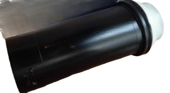 Genuine-Car-Rear-Shock-Absorber-Dust-Cover-for-Renault-Latitude-with ...