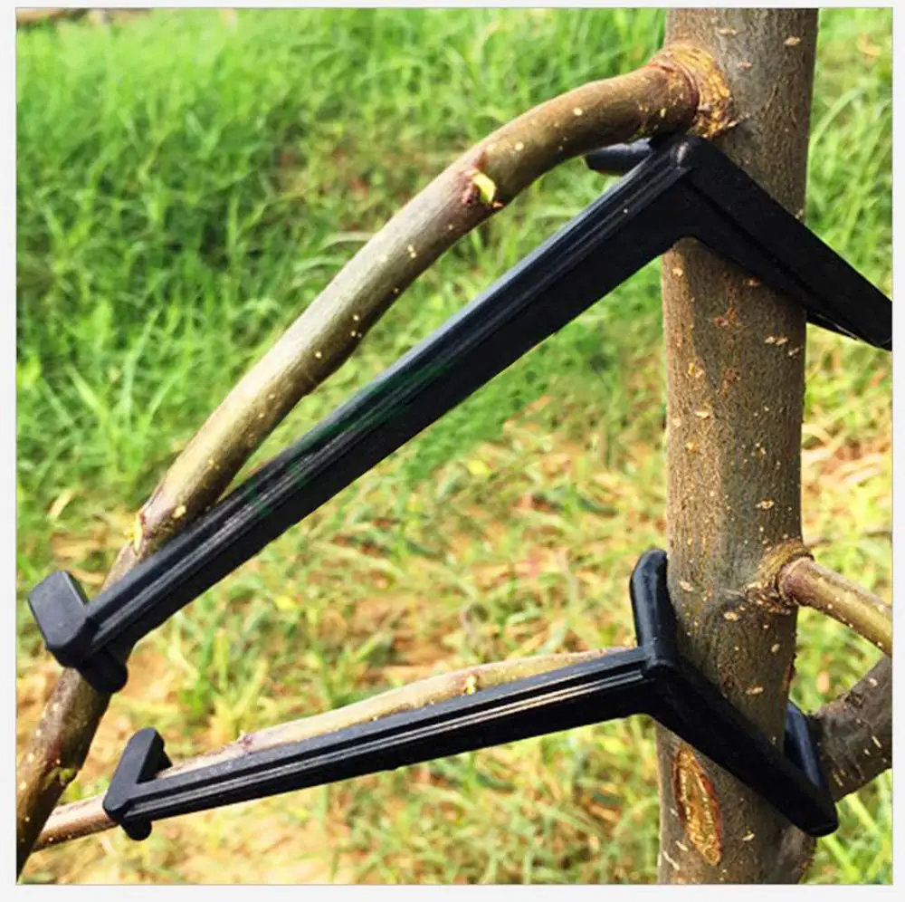 Tuteur - lien - attache,Écarteur de Branches d'Arbres Fruitiers ...