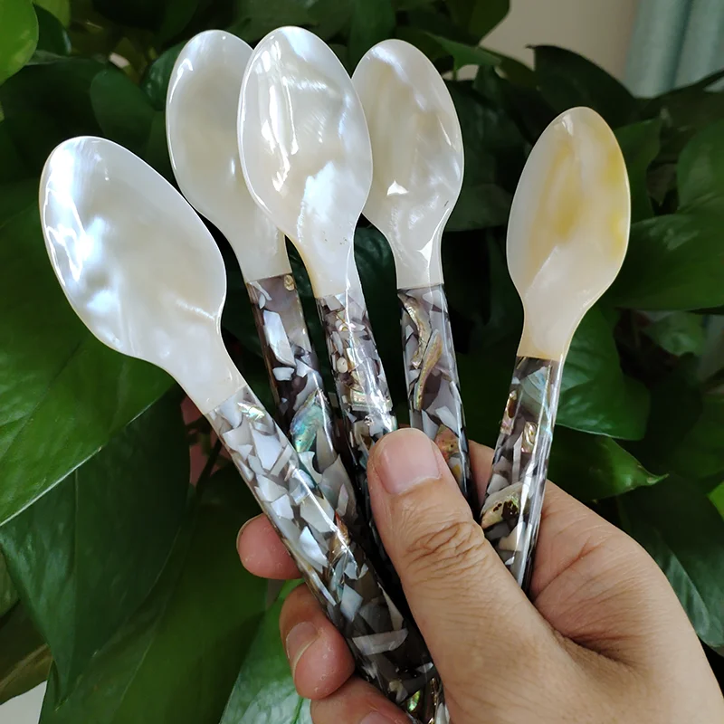 Set-of-5-Caviar-Spoons-Shell-Spoon-Mother-of-Pearl-Caviar-Spoons-Round ...