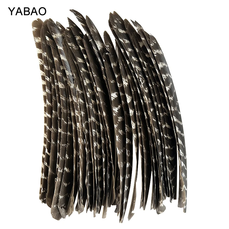 25-50-100Pcs-18-25CM-Full-Length-Natural-Turkey-Feathers-Archery-Arrow ...