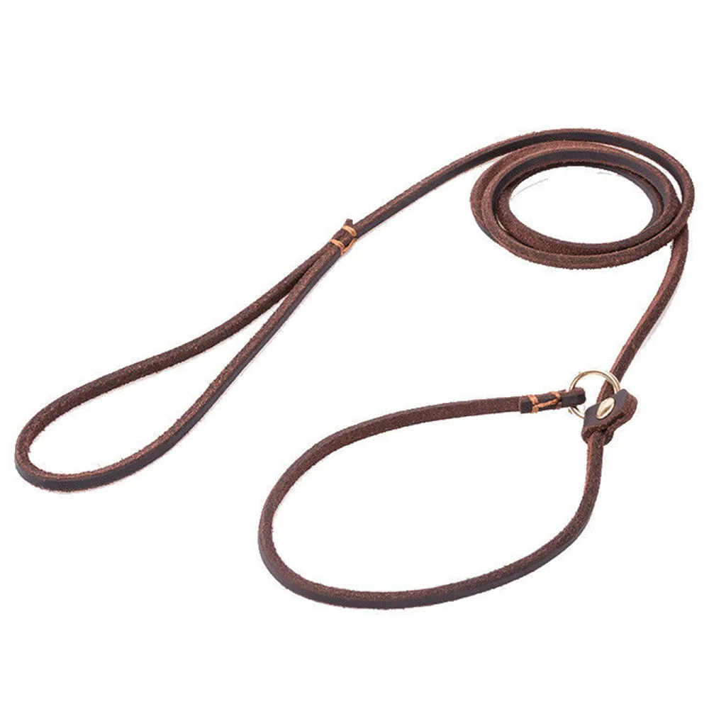 Soft-Slim-Genuine-Leather-Dog-Slip-Lead-Control-Leash-for-Small-Dogs-No ...