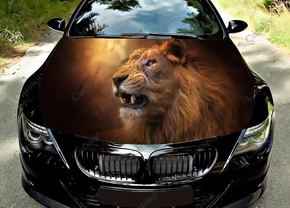 Lion big cat animal Car Hood Decals Self Adhesive Paint Stickers Car ...