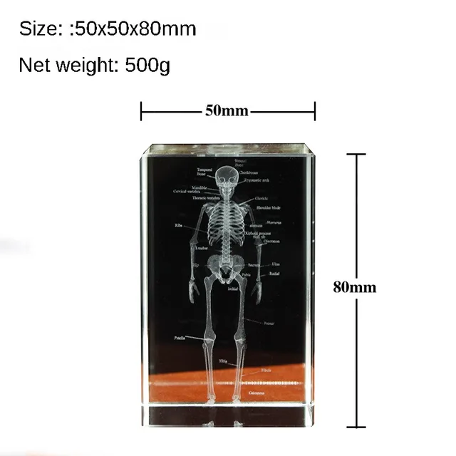 Crystal Skeleton Cube Model, 3D Laser Engraved Human Anatomical Statue ...