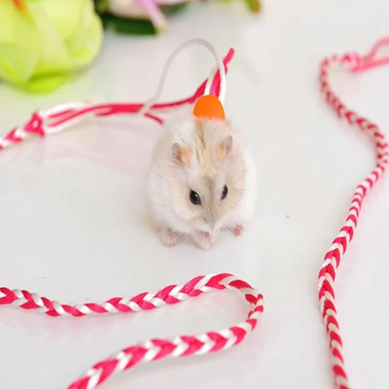1-4M-Pet-Leash-Hamster-Rabbit-Rope-Lead-Collar-Adjustable-Harness-Rope ...