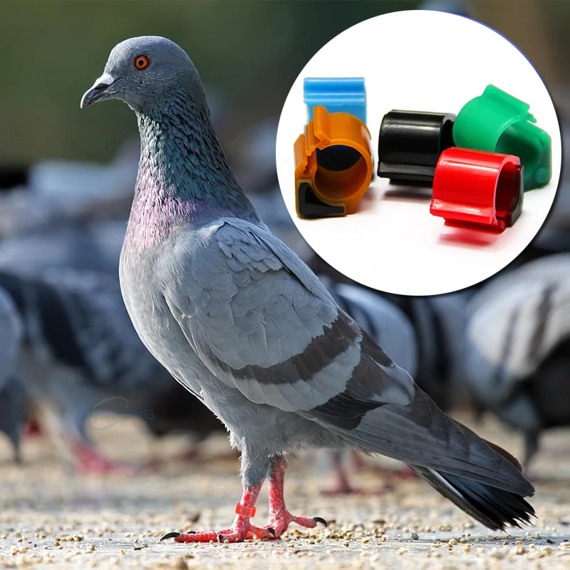 2Pcs/Lot 134.2KHz RFID Pigeon Ring Tag Hitag S256 Foot Band Racing Tags ...