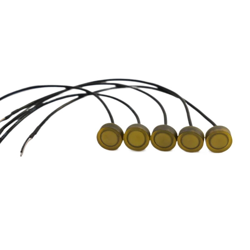 2M-Ultrasonic-Hydroacoustic-Transducer-Underwater-Range-Sensor-Probe ...