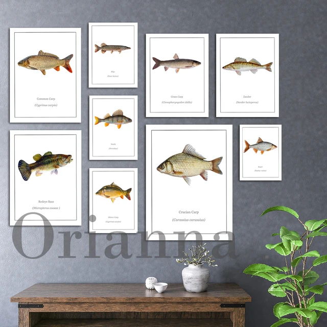 Tropical Fish Chart Poster