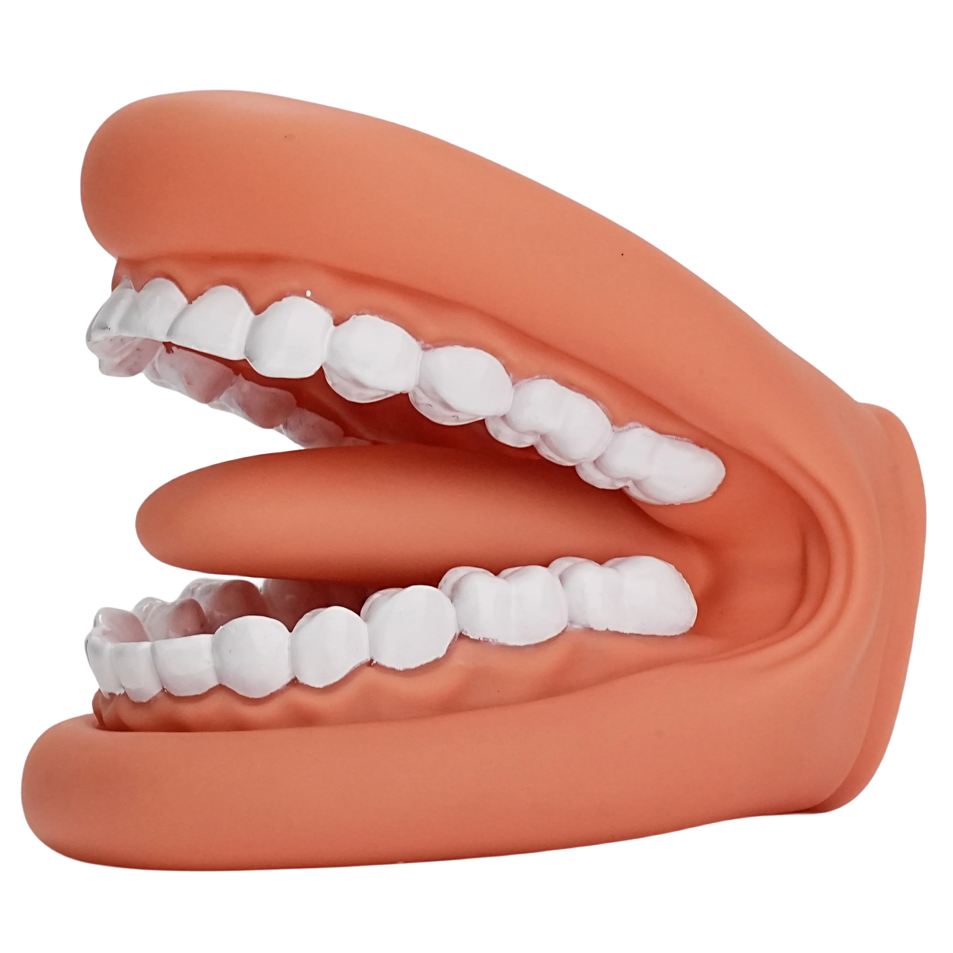 Mighty-Mouth-Hand-Puppet-Speech-Therapy-Educational-Teeth-Model-for ...