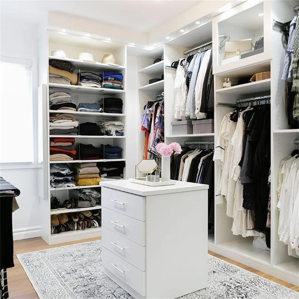 Modern Walk In Closet For Women