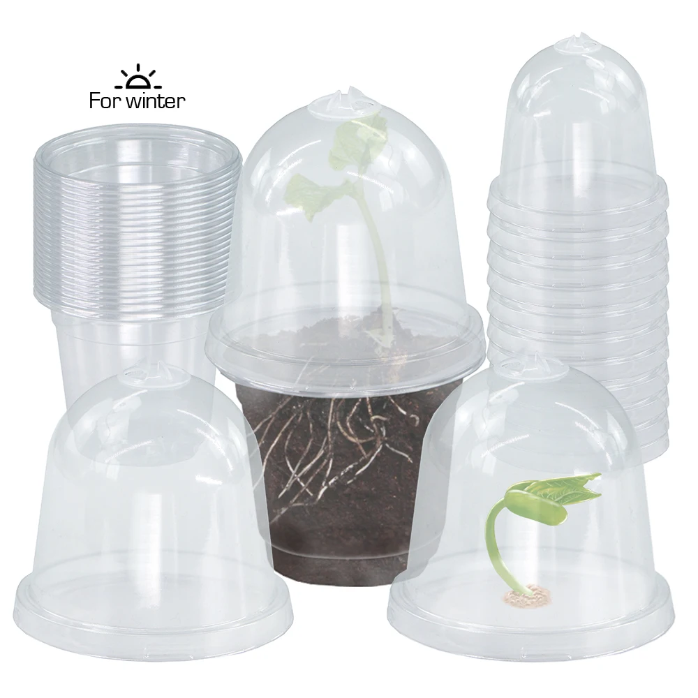210x125MM 5-Inch PET Seedling Cup with Transparent Nutrient Pot and Lid ...