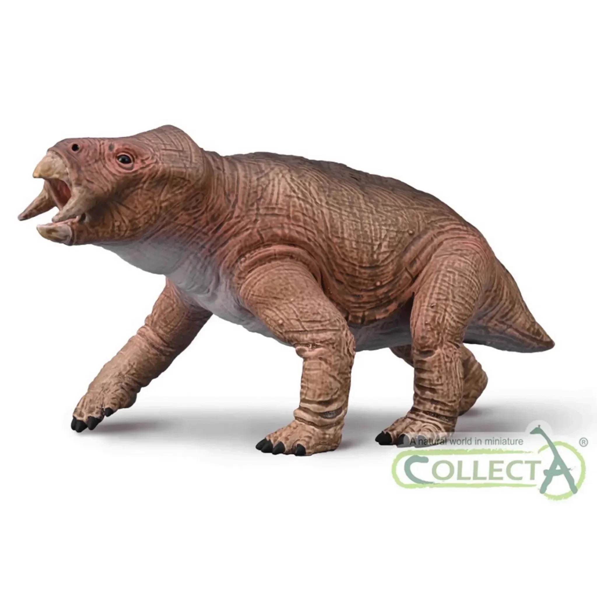 Figuras de dinosaurios CollectA Placerias, modelo de Animal ...