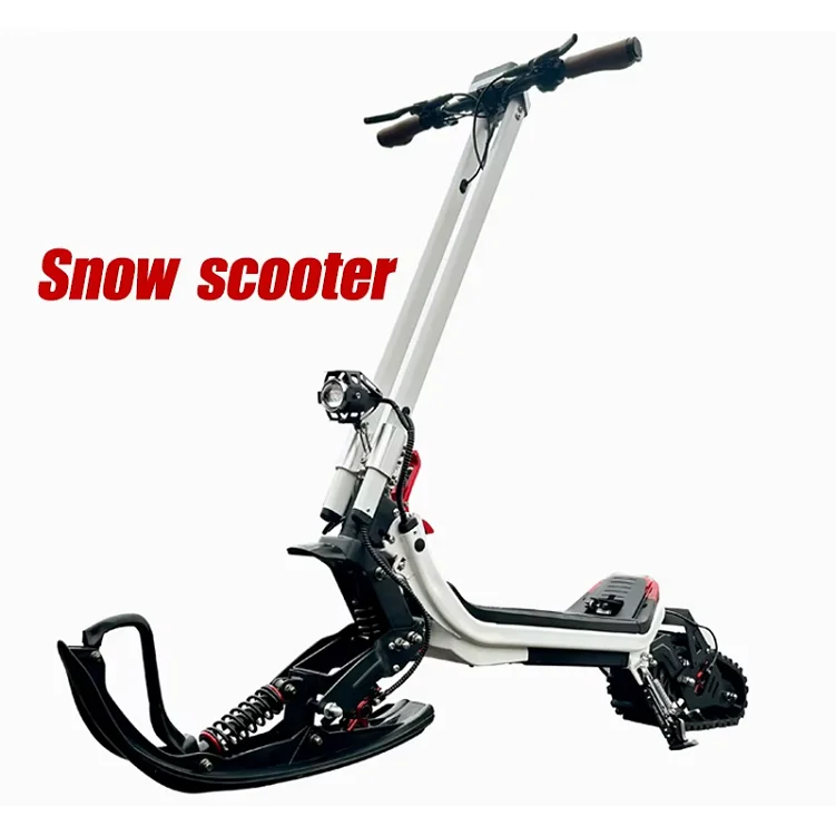 Long Range 1200W 2400W Eu Warehouse Off Road Fat Tire Eretic Snow ...