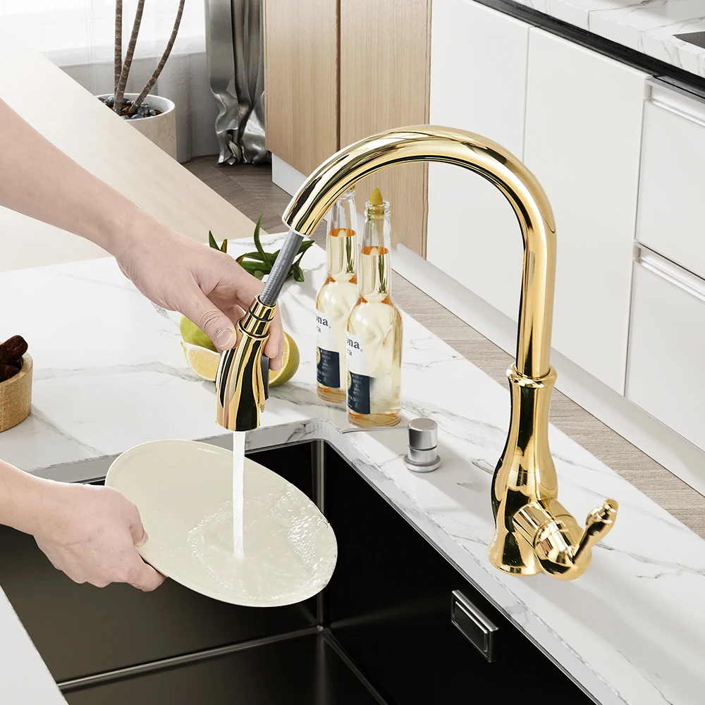Black-Kitchen-Faucets-Pull-Out-Kitchen-Sink-Mixer-Tap-Single-Lever ...