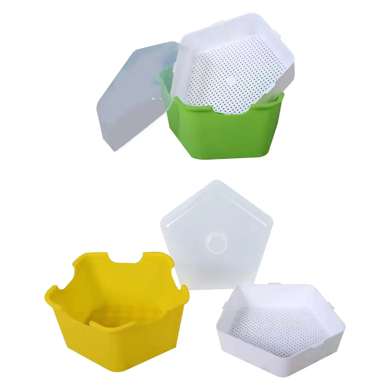 Seed-Sprouter-Tray-with-Lid-Kit-Home-Garden-Sprouting-Seeds-Cultivation ...
