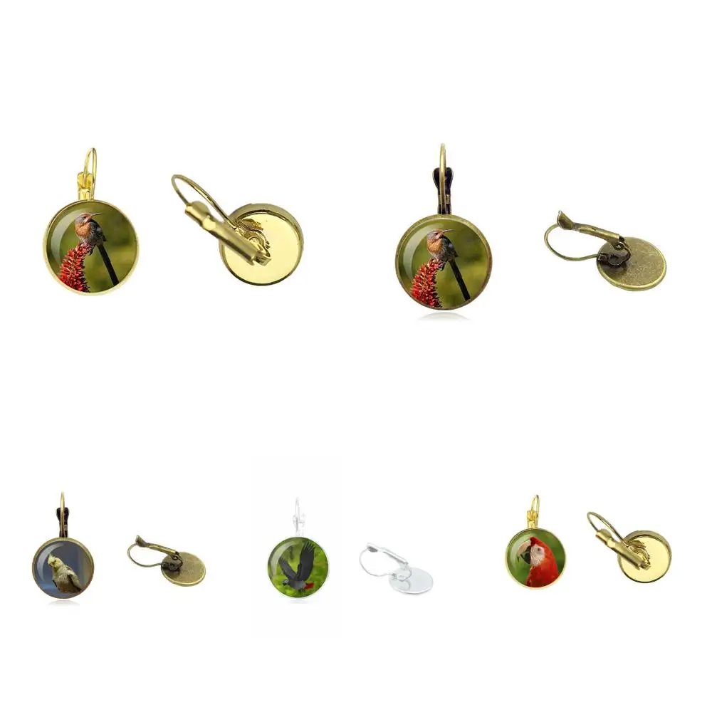 Kongo-Ekor-Merah-Afrika-Abu-abu-Burung-Beo-Terbaik-Mencari-untuk-Anak ...