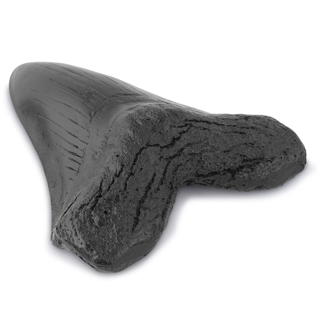 Shark Teeth Resin Retro 5 Inches Teaching Props Megalodon Tooth Black