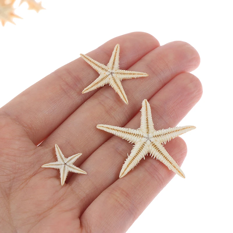 100Pcs-Naturally-Formed-Sea-Shells-Size-0-5-3cm-Mini-Starfish-Craft ...
