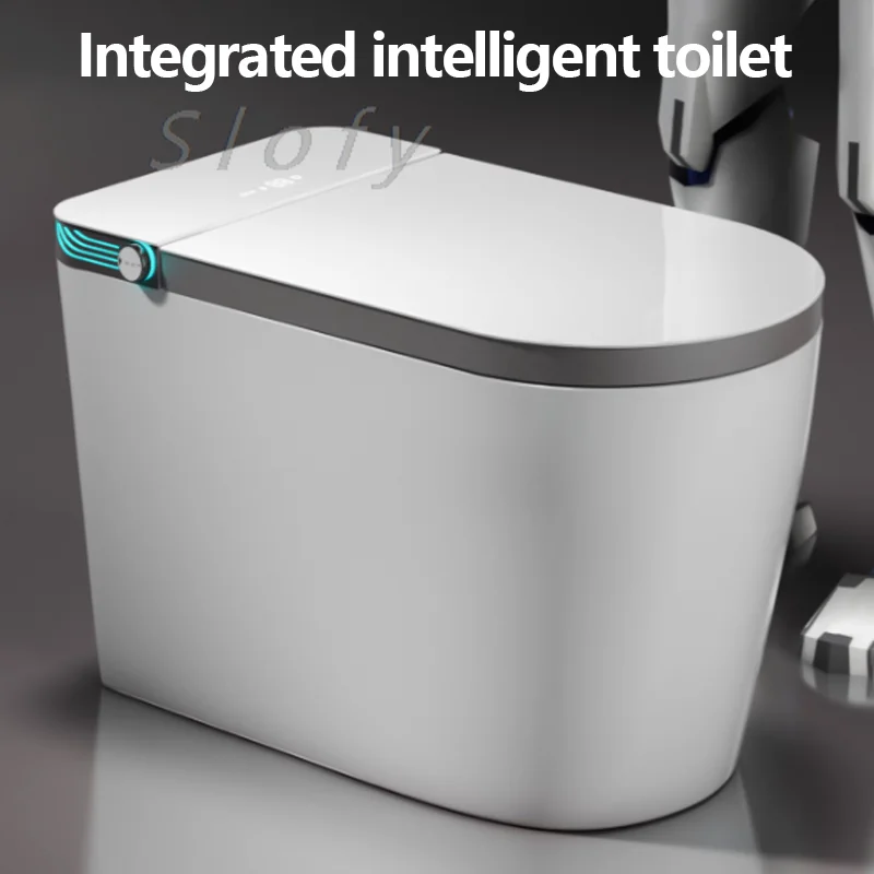 Elongated-Smart-Toilet-Built-in-Bidet-Water-Tank-No-Water-Pressure ...