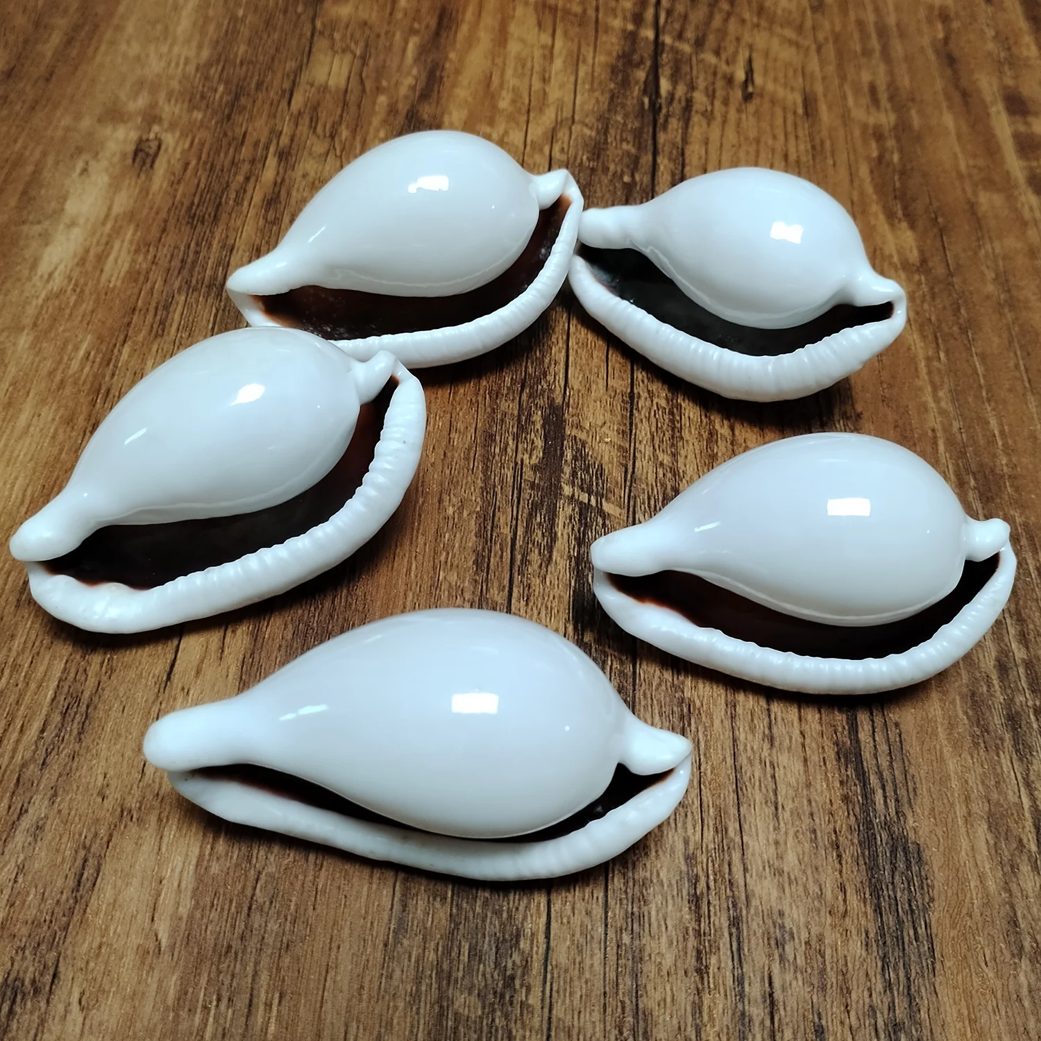Natural Umbilical Ovula Seashell White Jade Oval-shaped Shell Conch ...