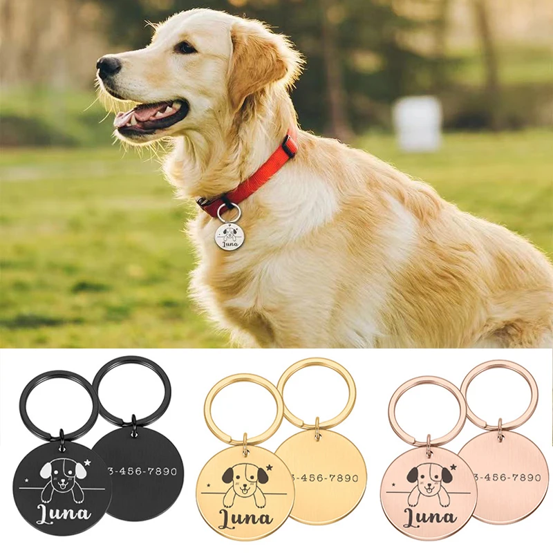 Personalized-Stainless-Steel-Pet-Name-Tages-Keyrings-Anti-lost-Dog-Cat ...
