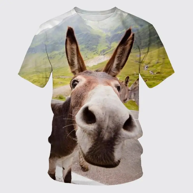 Camiseta Masculina Engraçada Nova Do Hip-hop Do Verão, Burro Pequeno ...