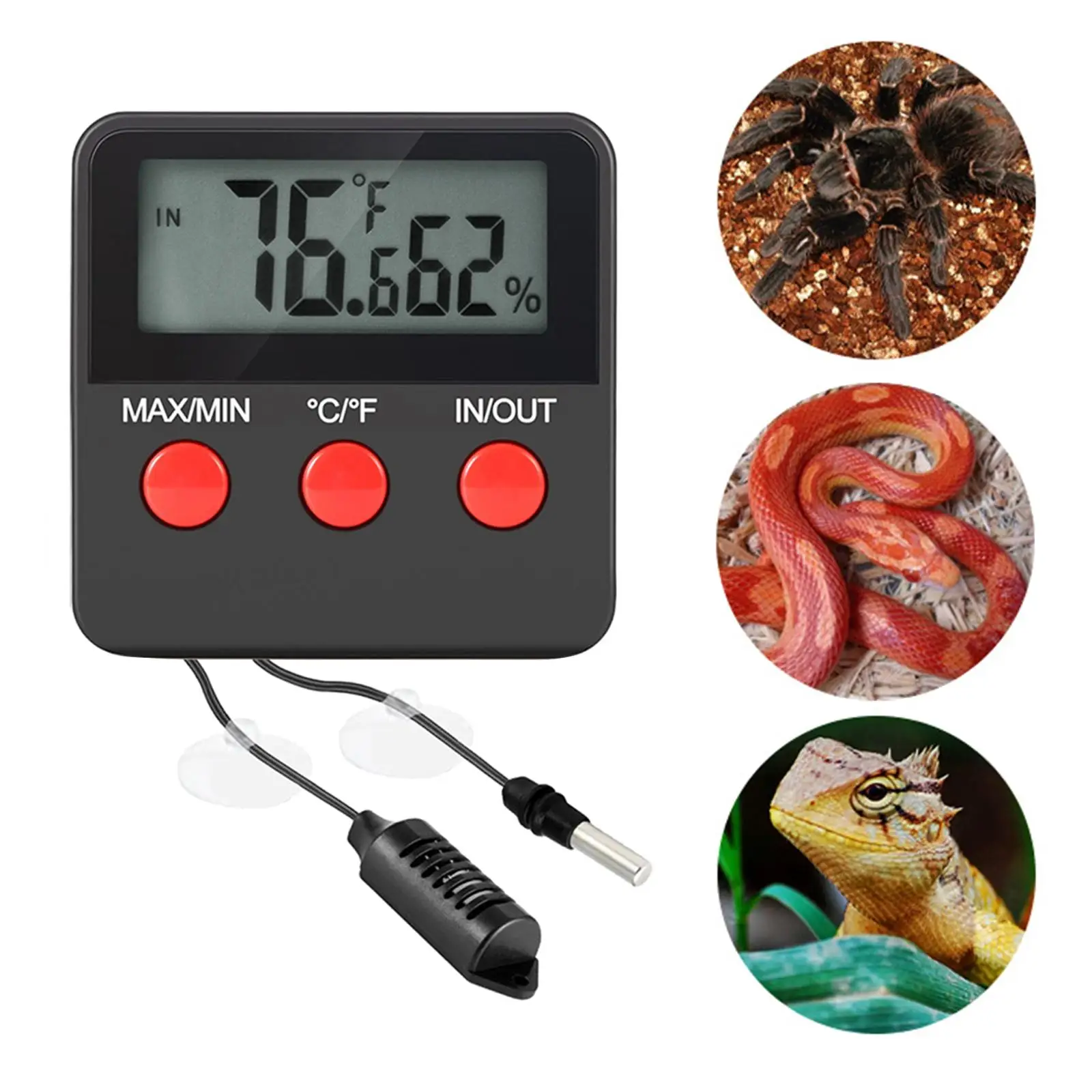 Snake Hygrometer And Thermometer