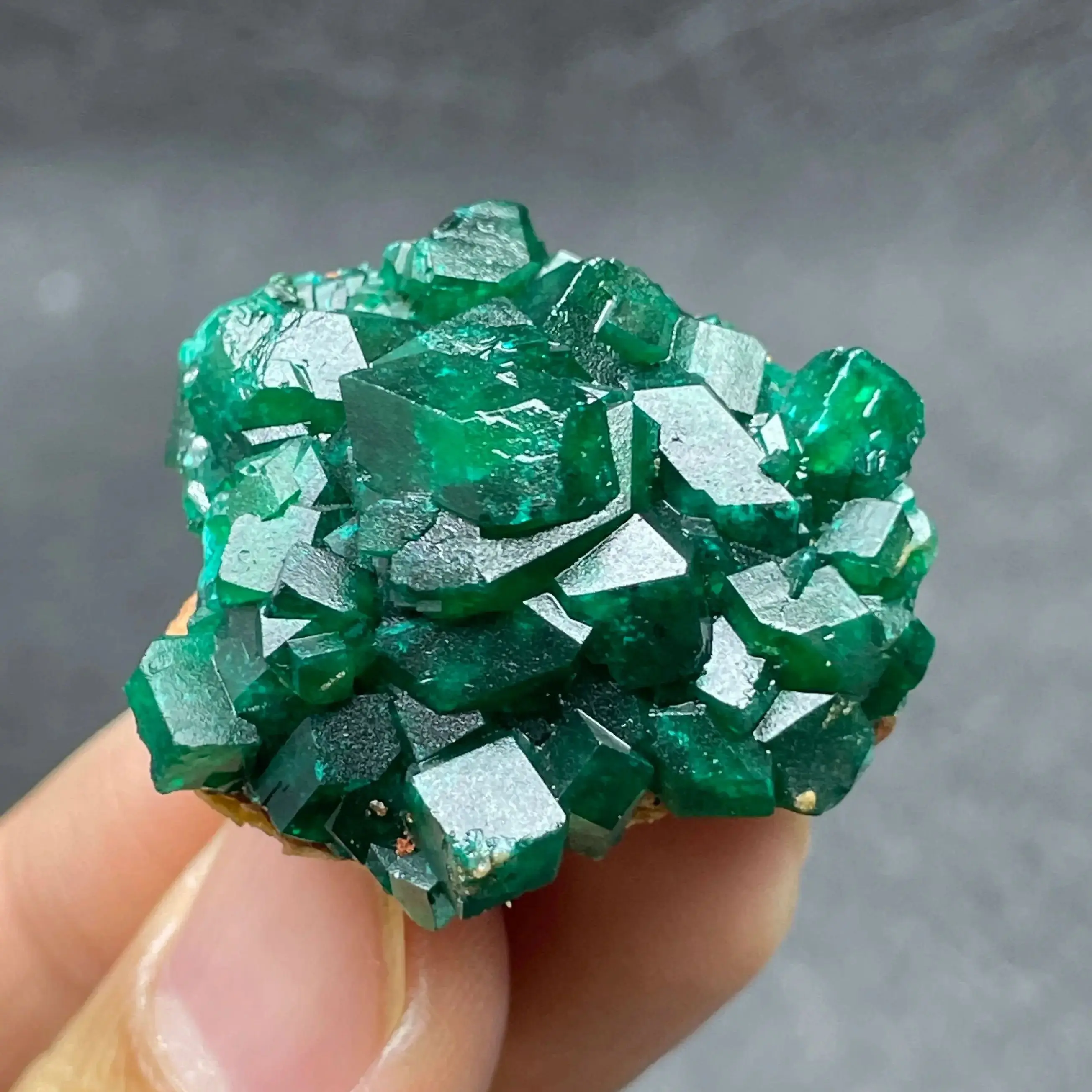 Natural Raw Stone Congo Green Dioptase With Rock Mineral Specimen ...