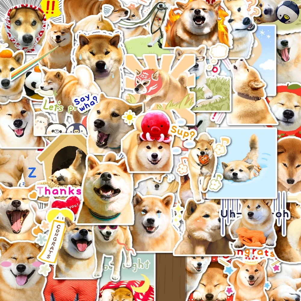 S091d82854b734d138257a603c0267496U.jpg