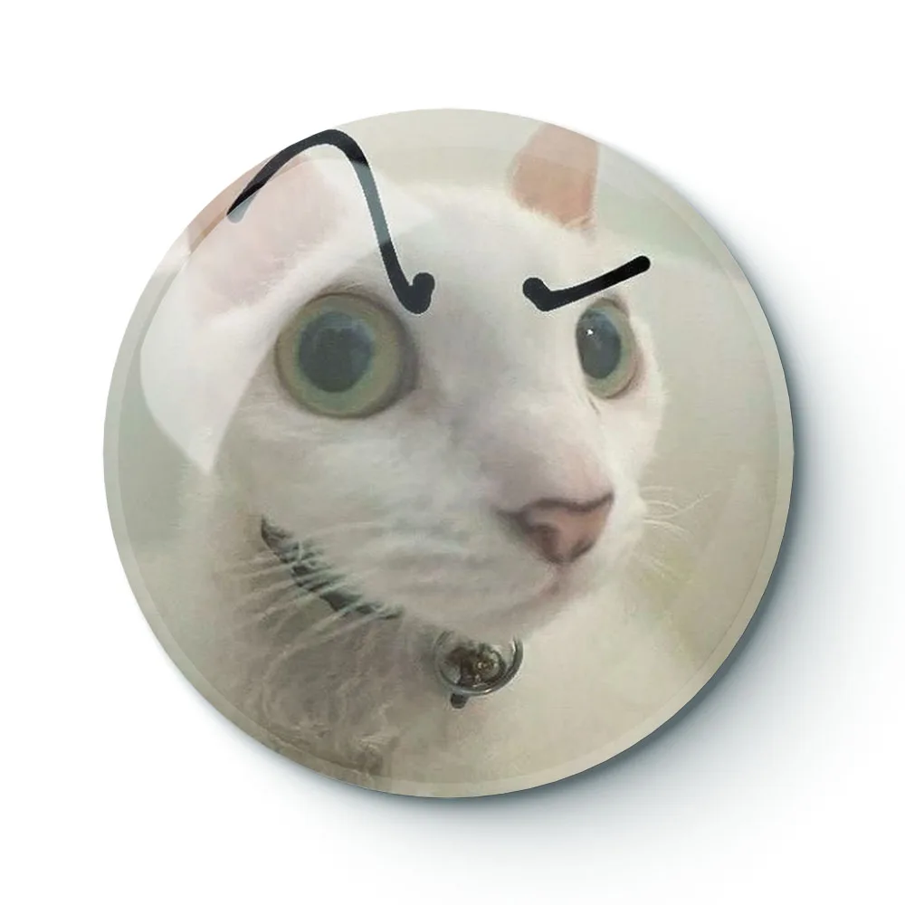 CAT MEME 043 Buttons Brooches Pin Jewelry Accessory Customize Brooch ...