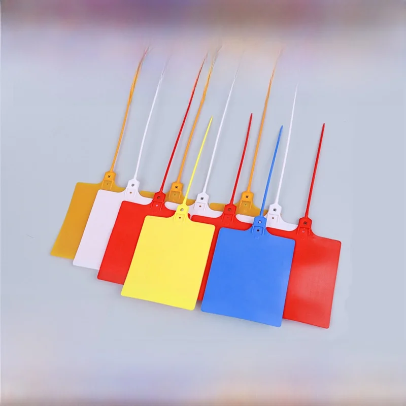Large Size Plastic Hanging Tags Direct Printing No Customization ...