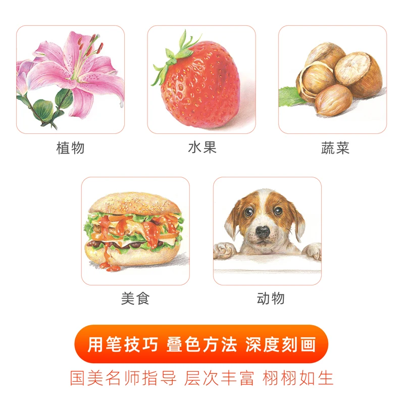 Introduction to Color Lead Drawing Self-study Zero Basic Tutorial Book ...