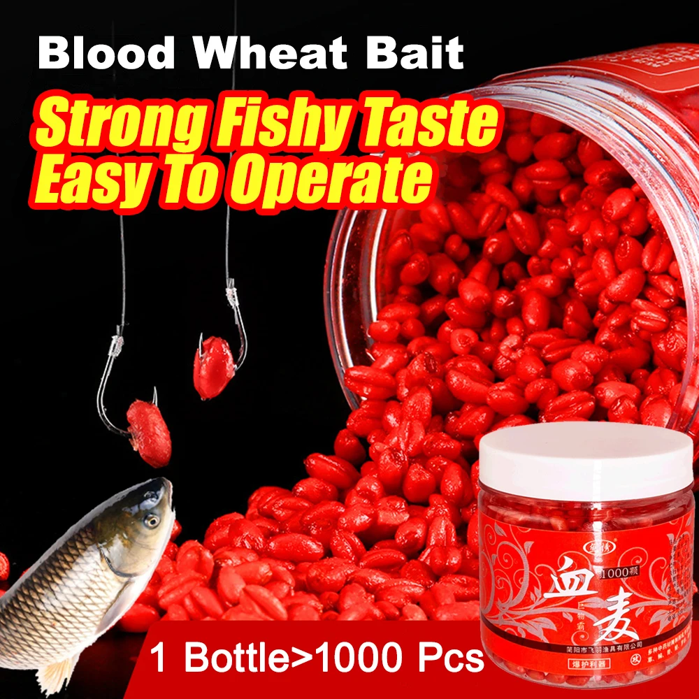 Soaked-In-Red-Insect-Liquid-To-Make-Blood-Wheat-Bait-for-Wild-Fishing ...