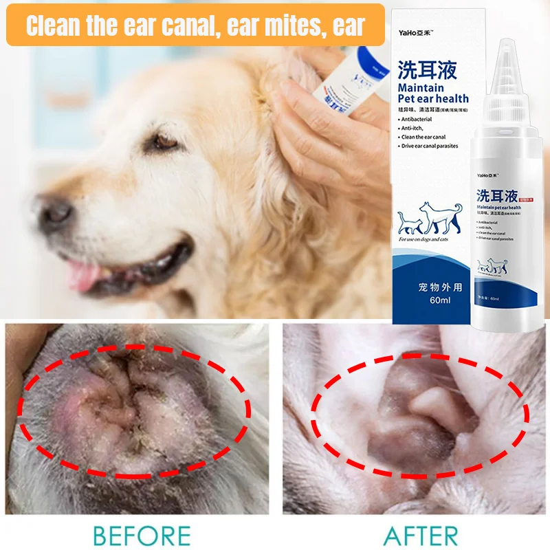 Malassezia-Otitis-Media-Cats-and-Dogs-Itching-Red-Swelling-Anti ...