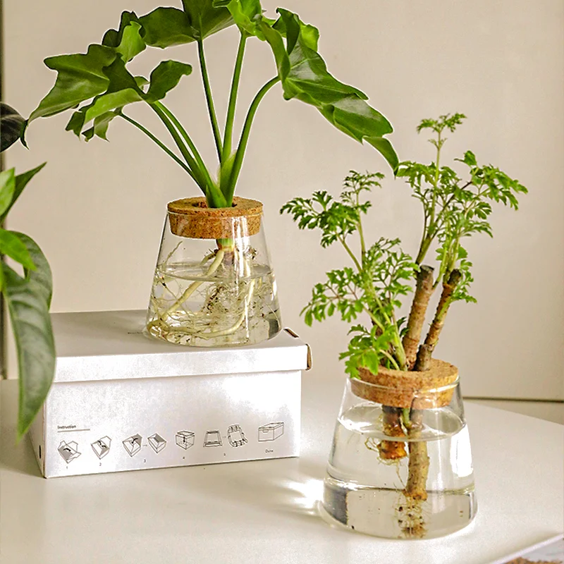 Simple-Transparent-Glass-Flower-Pot-Home-Decorative-Hydroponic-Bottle ...