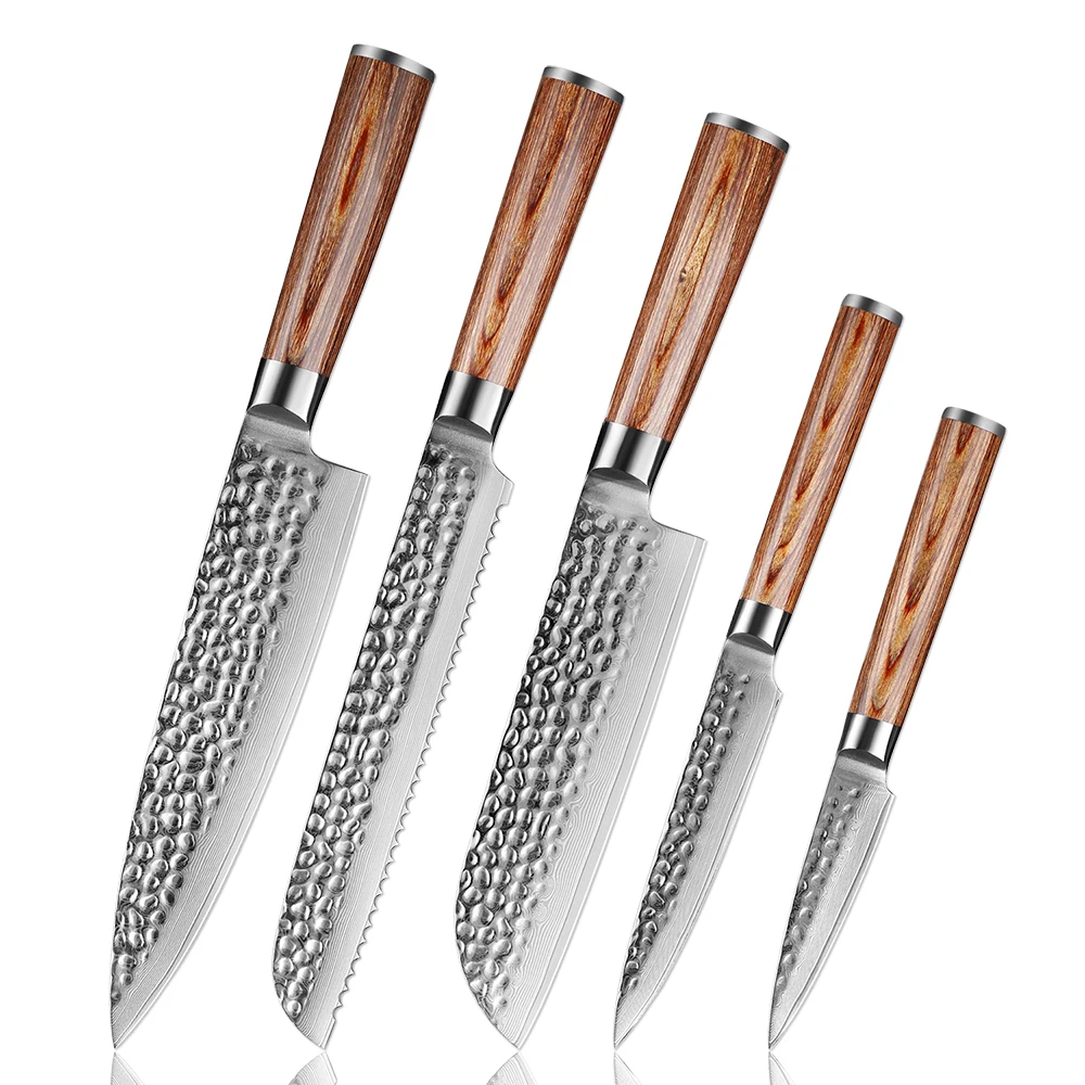 Professional-Hand-forged-Chef-Knife-Razor-sharp-Kitchen-Knives-Japanese ...