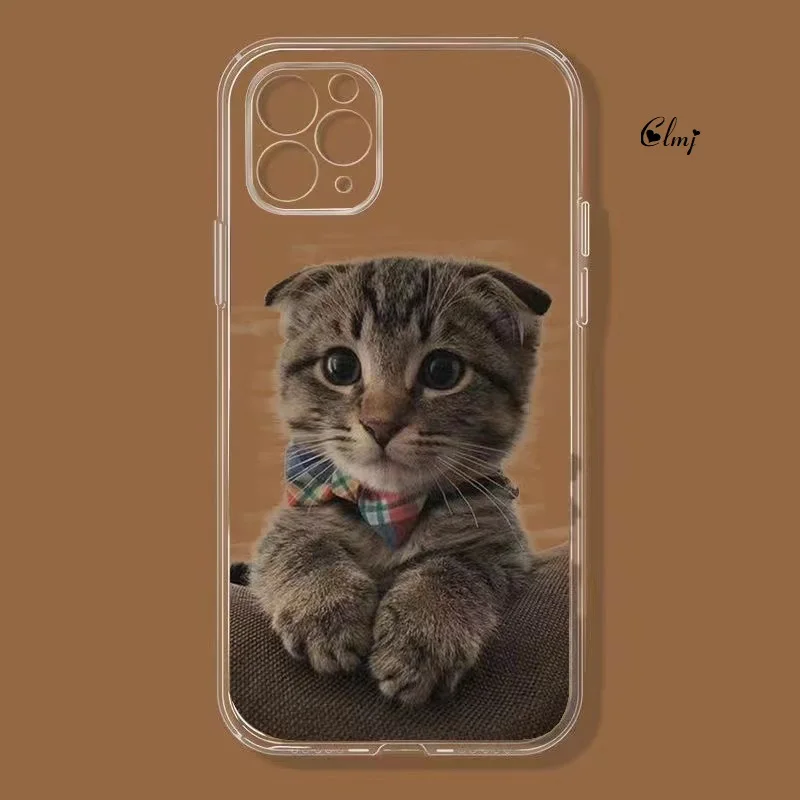 Clmj-Cute-Cat-Kitten-Phone-Case-For-Samsung-Galaxy-A13-A52-A53-S23-Plus ...