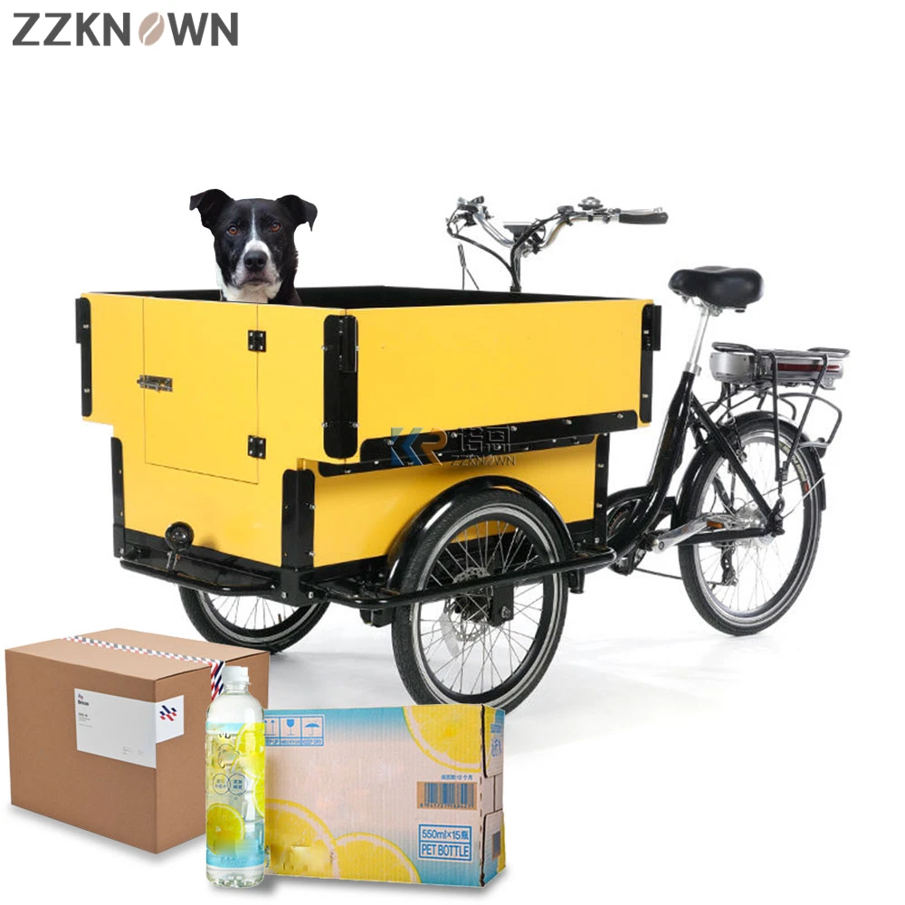 500 W Cargo Tricycle Adult Electric Bike with Two Seater Mini Cars ...