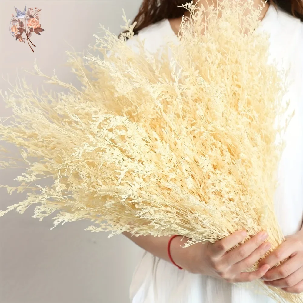 Ramo-de-limonio-Natural-preservado-lavanda-marina-fresca-Real-para ...