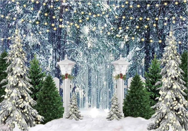 Winter Wonderland Photography Backdrop