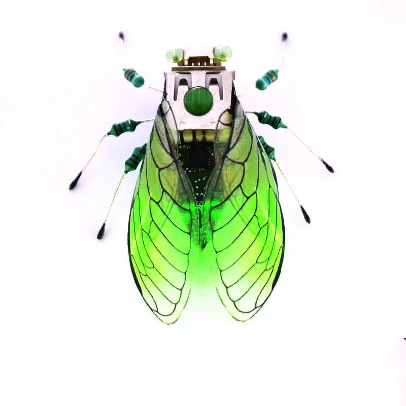 Robotic-Insects-Science-Invention-STEAM-DIY-Electronic-Animal-for ...