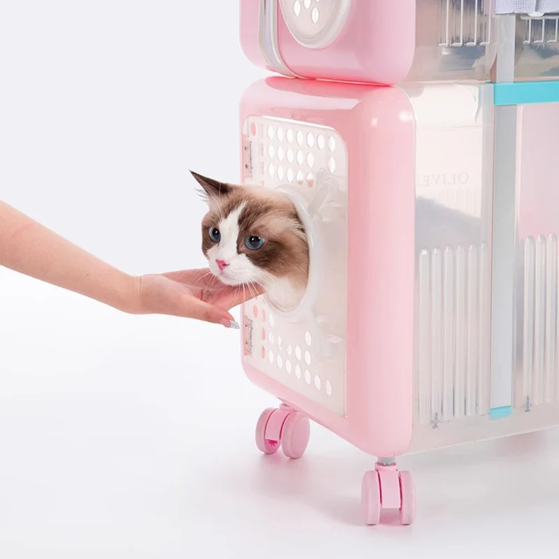 Funny Cat Carrier