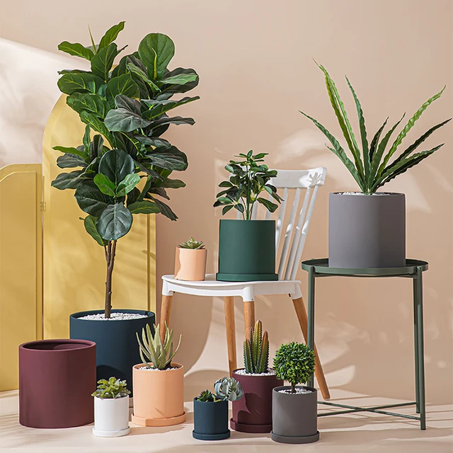 Modern Outdoor Pot Plants
